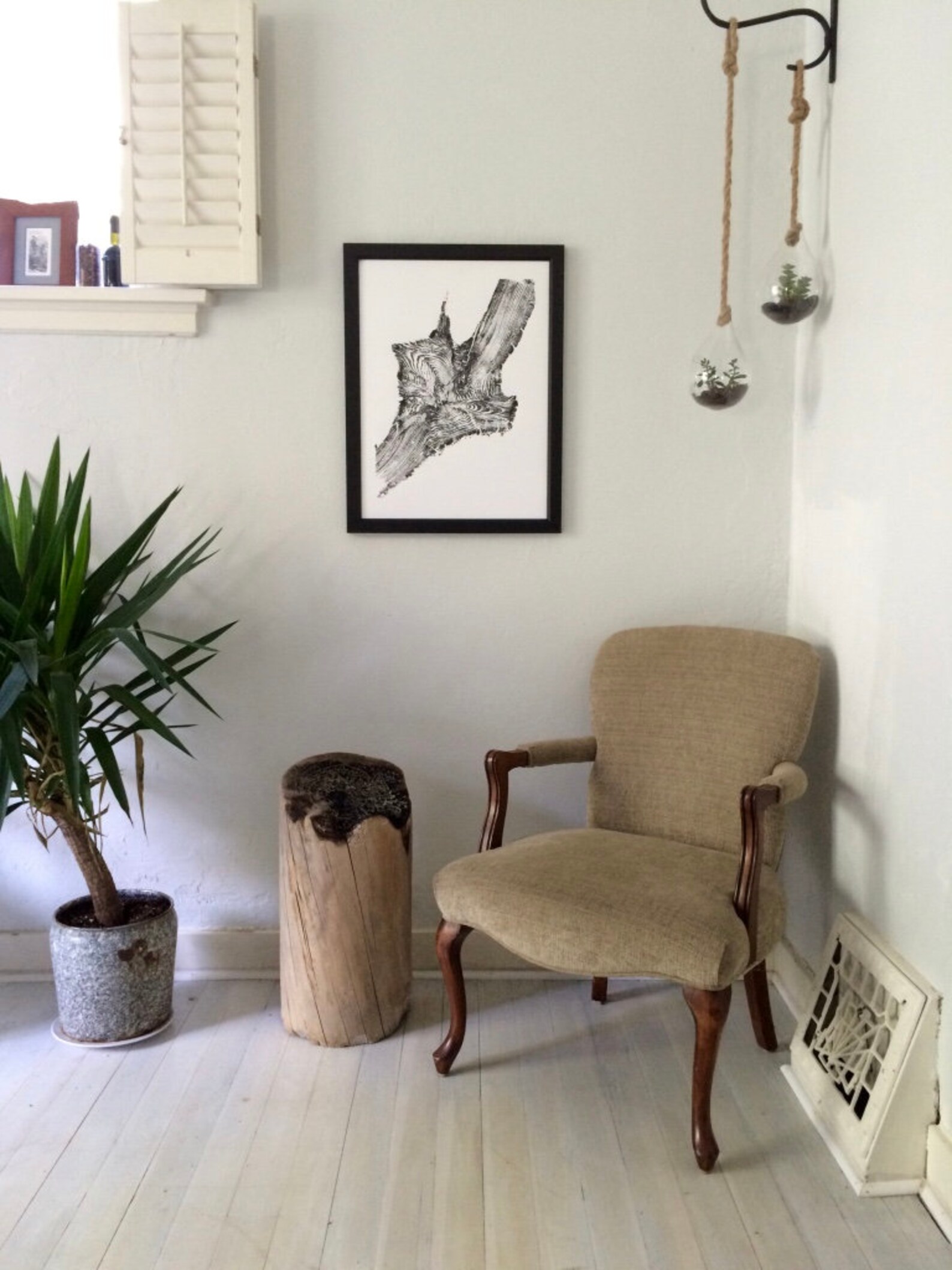 Yellowstone Tree Roots Tree Ring Print Tree Roots Wall Art - Etsy