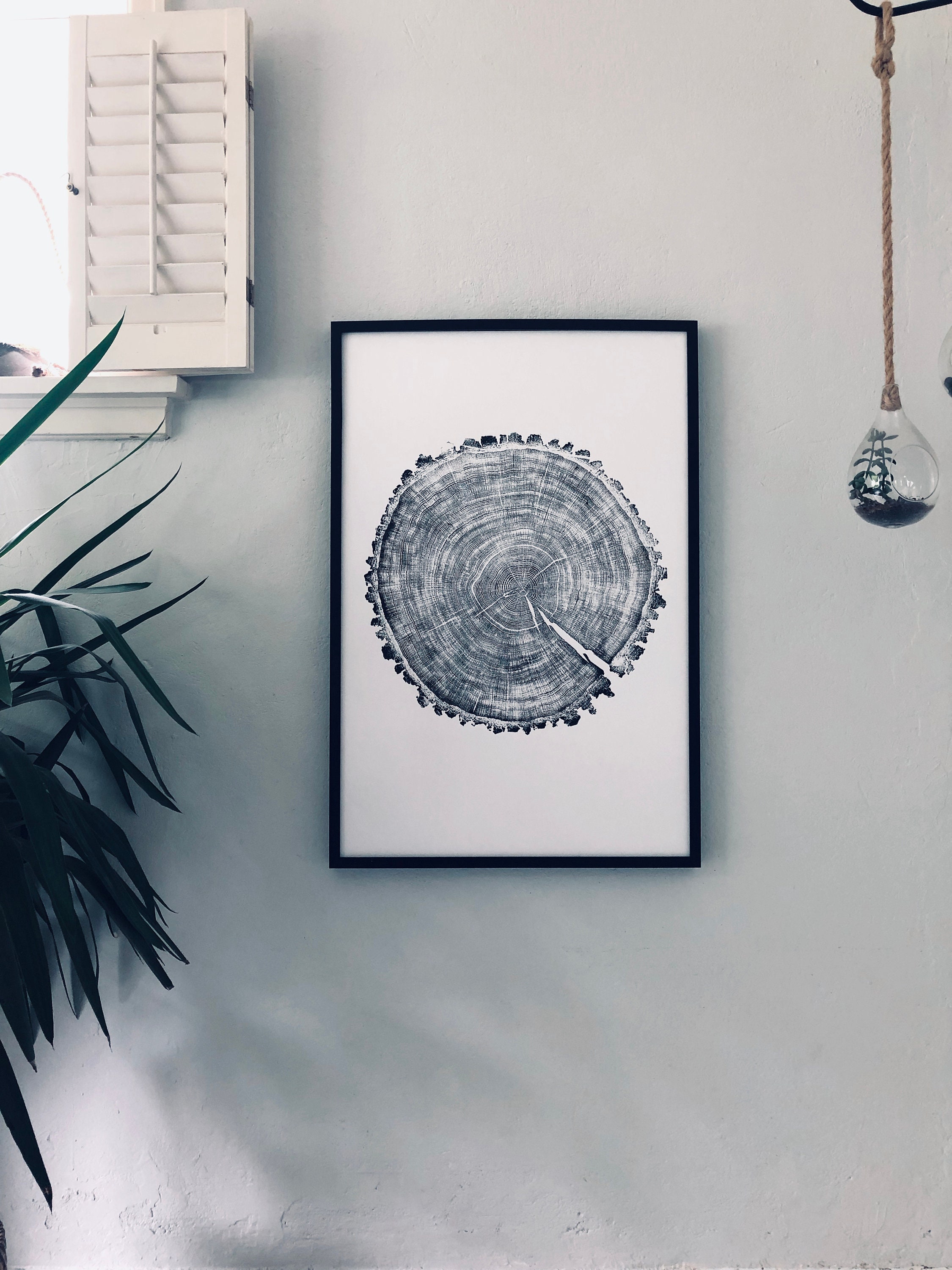 Oak Tree Ring Print From Minnesota Original Woodblock Print - Etsy