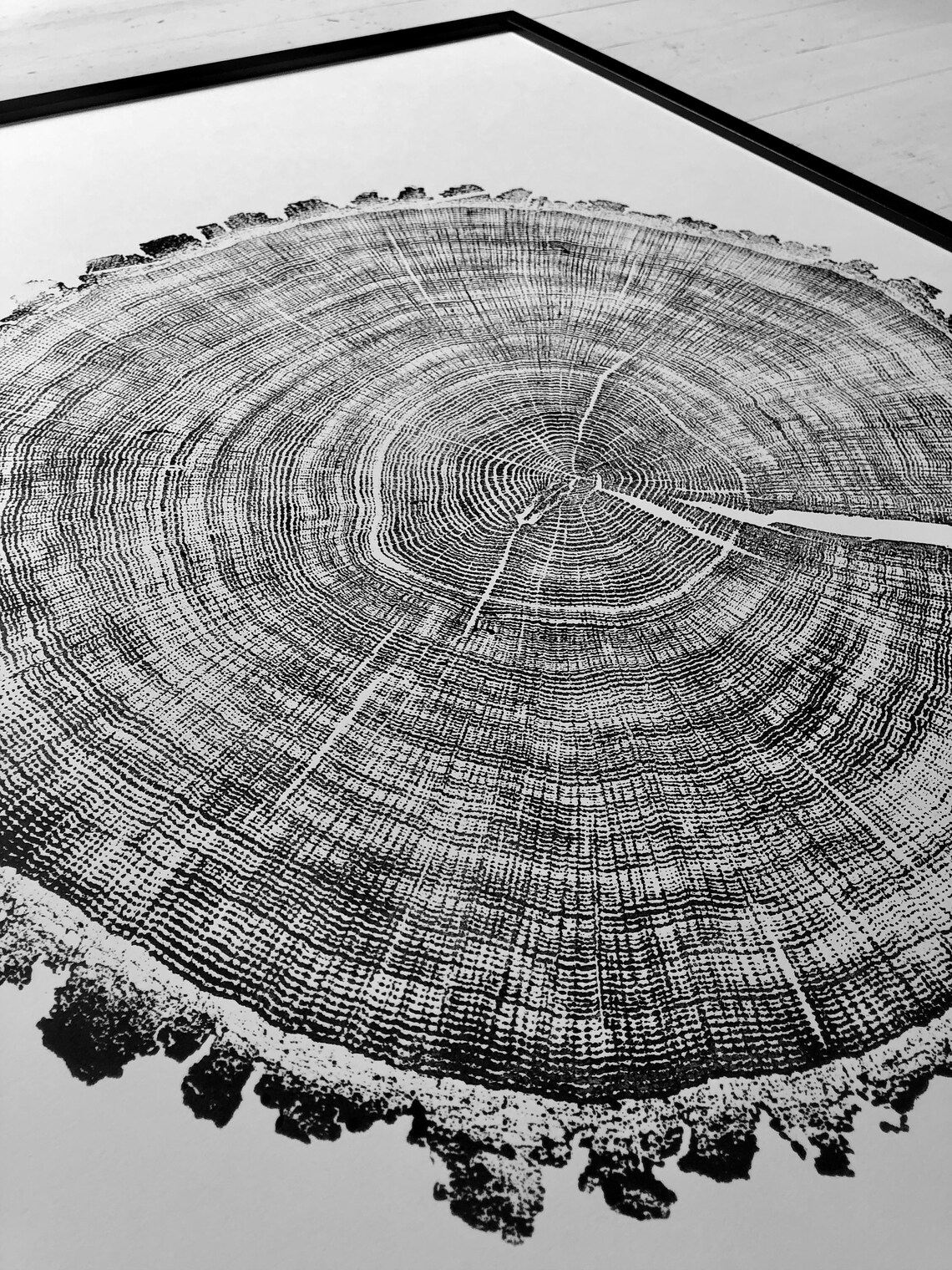 Oak Tree Ring Print From Minnesota Original Woodblock Print - Etsy