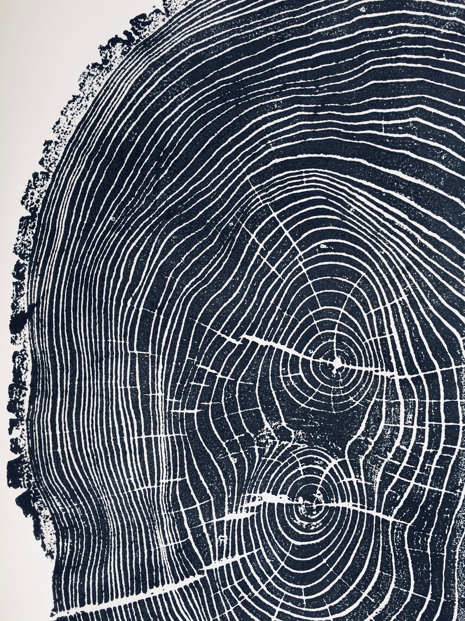 Ash Tree Stump Art. Original Woodblock Print Made From an Ash - Etsy