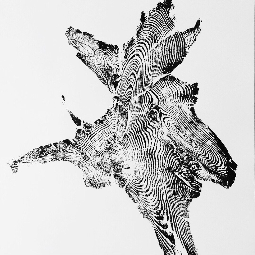 Idaho Tree Print Tree Ring Print Made From Tree Roots. Hand - Etsy