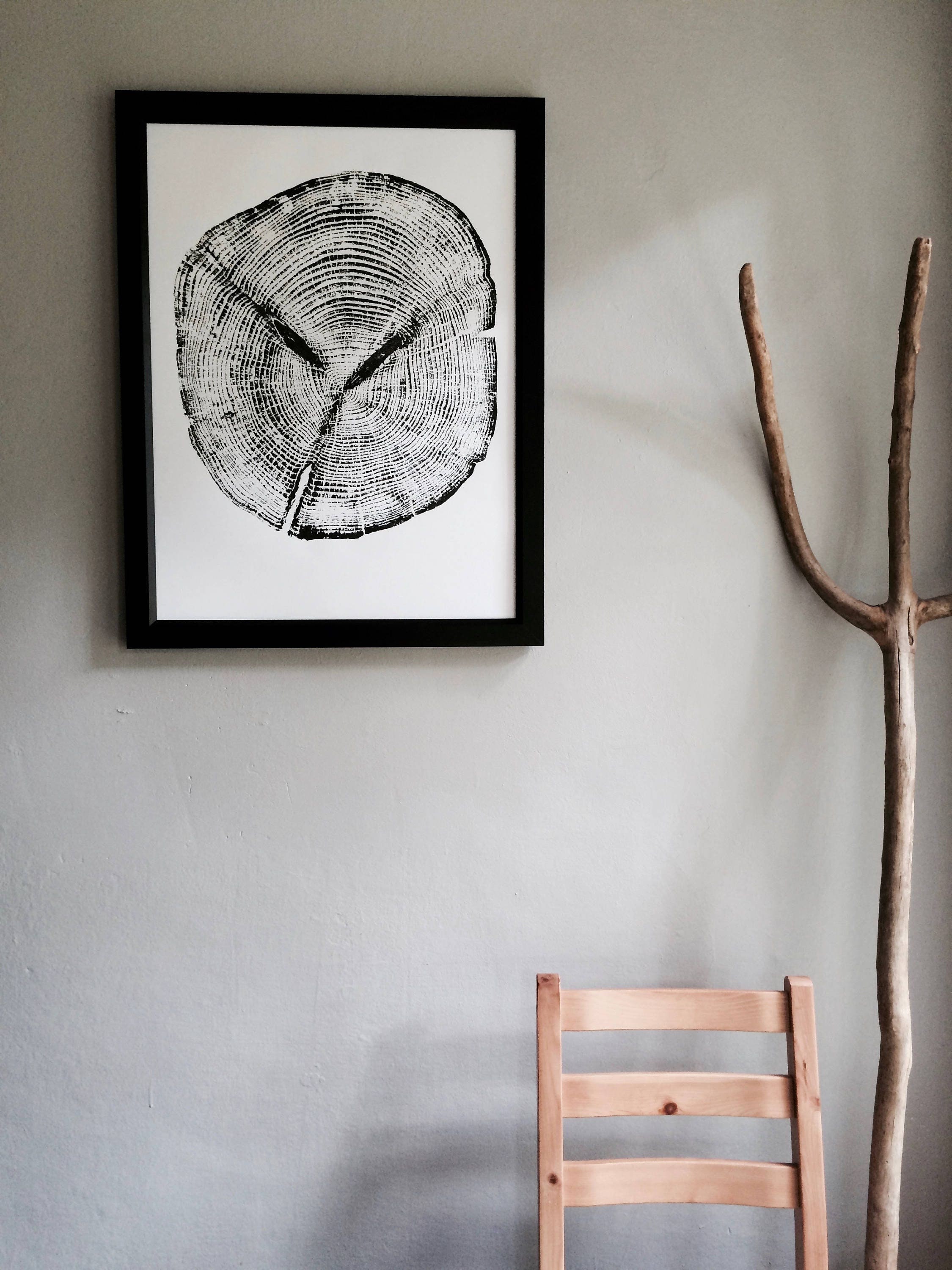 Alaskan Spruce Tree Ring Print Tree Stump Print Stump Art - Etsy