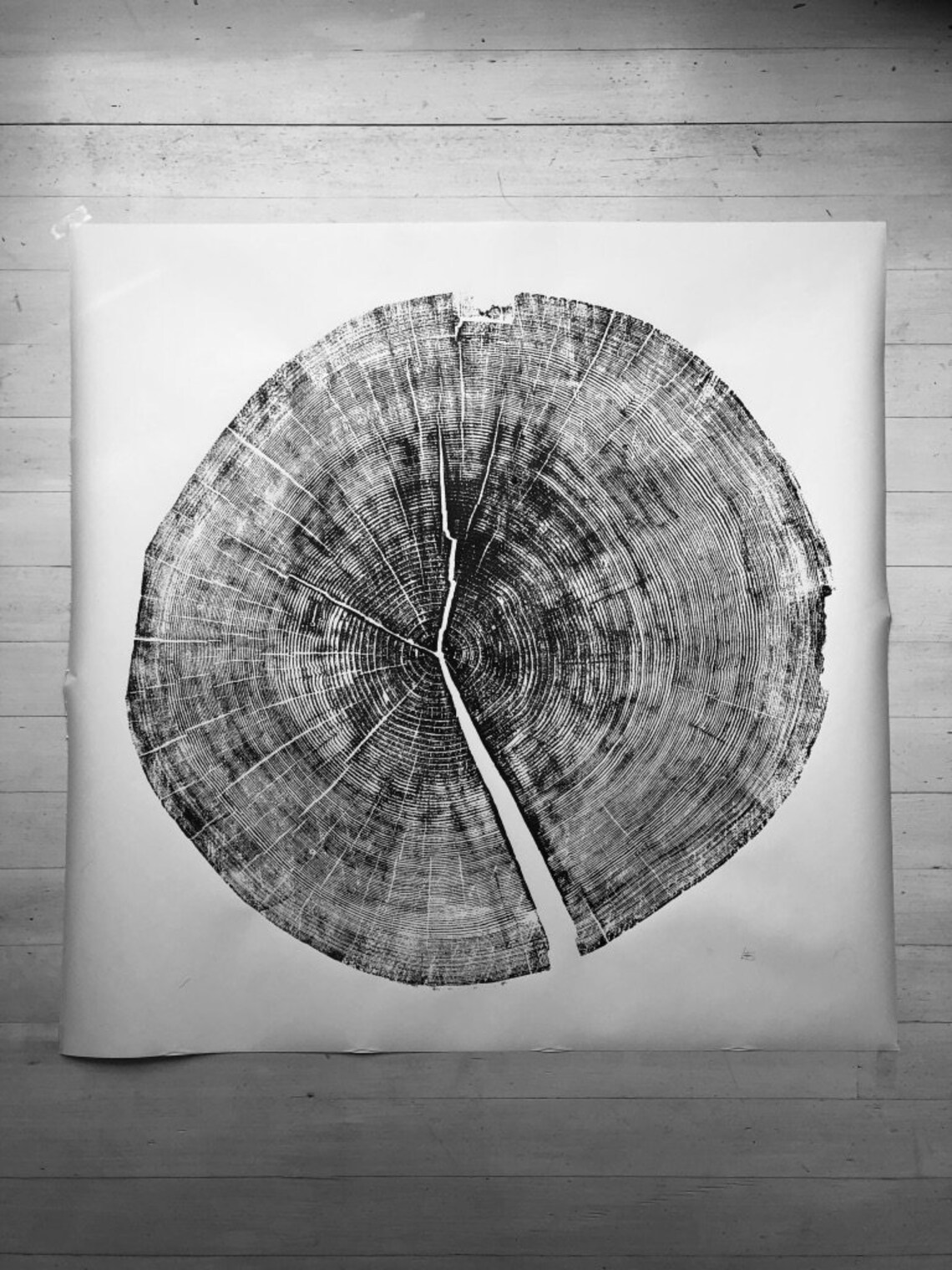 Yosemite National Park Print Tree Ring Art Tree Ring Print - Etsy