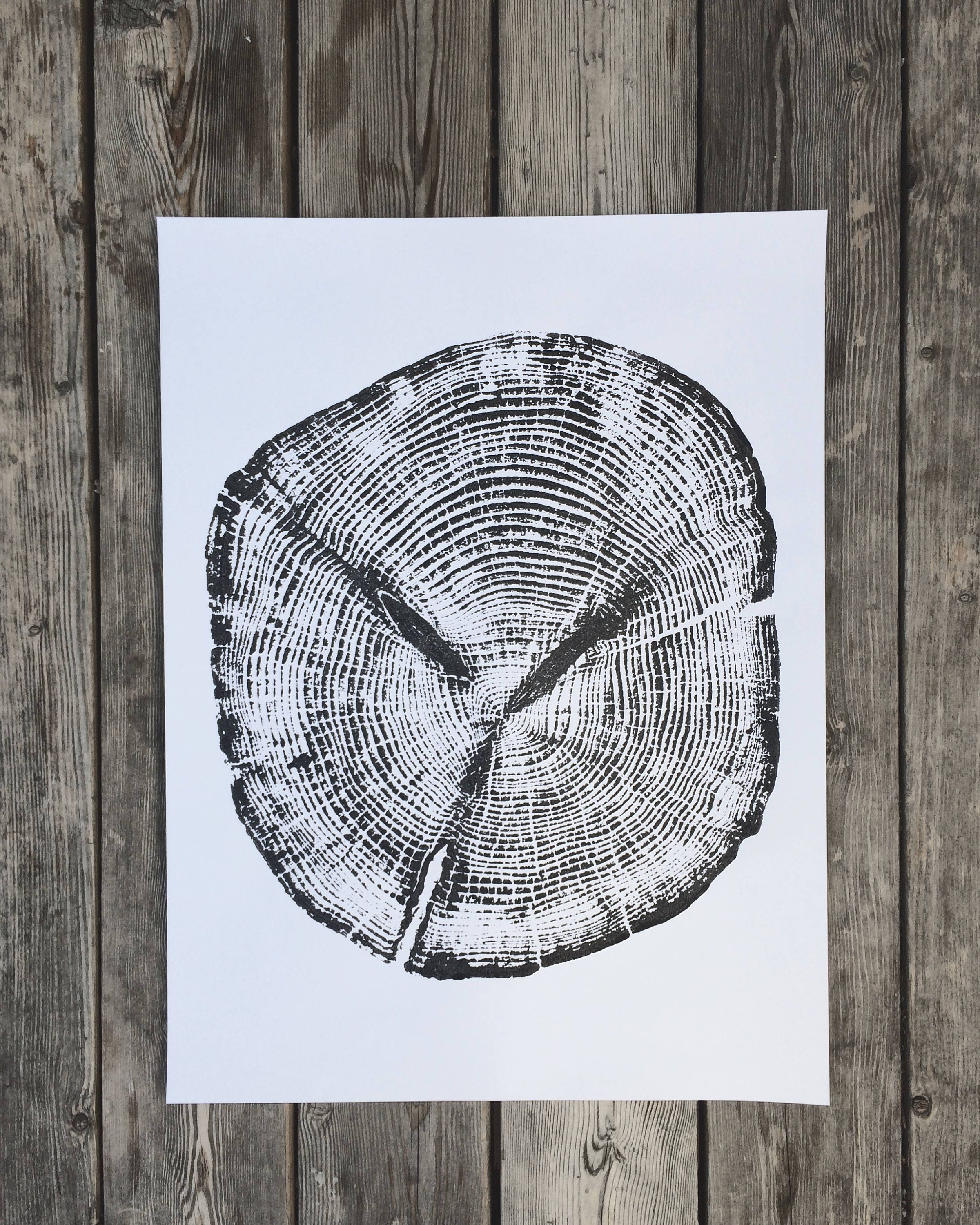 Alaskan Spruce Tree Ring Print Tree Stump Print Stump Art - Etsy