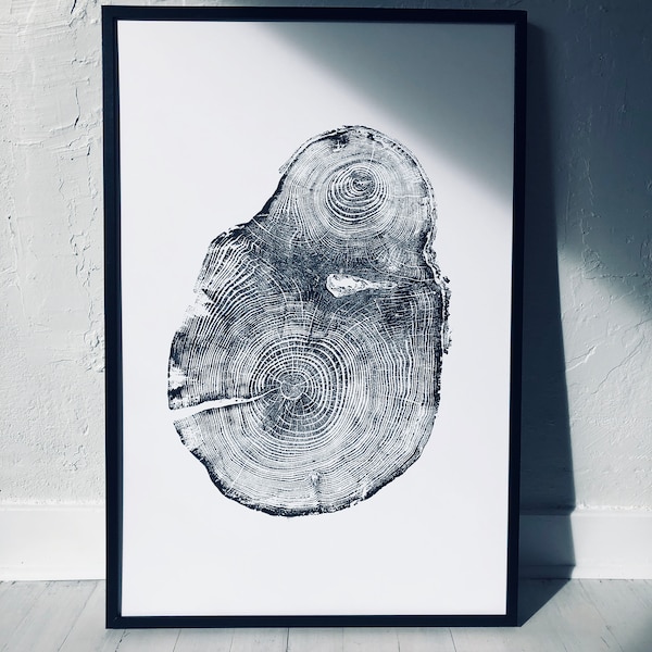 Tree Ring Drawing - Etsy