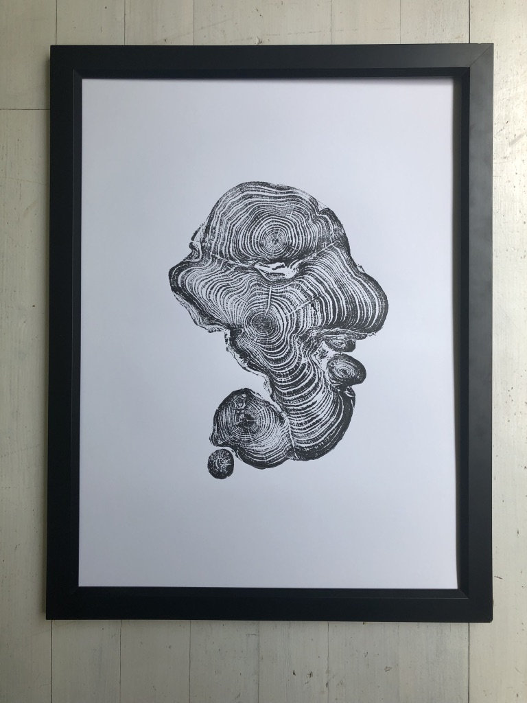 Cypress Tree Print From Ireland Tree Ring Art Print Tree - Etsy