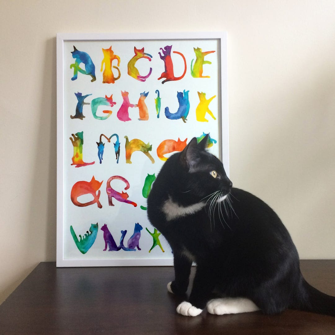 Cat Alphabet Poster! - Etsy Australia