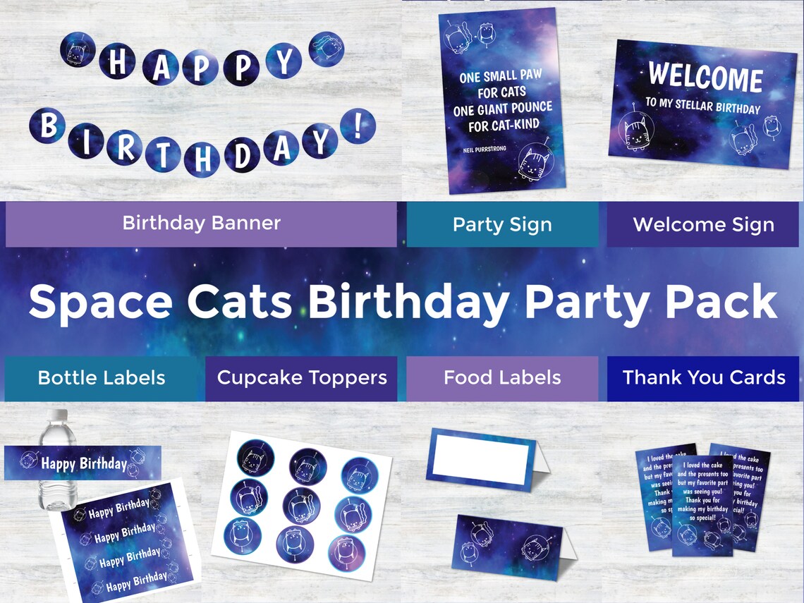 Space Cats Birthday Party Pack Instant Download PDF Cosmic - Etsy