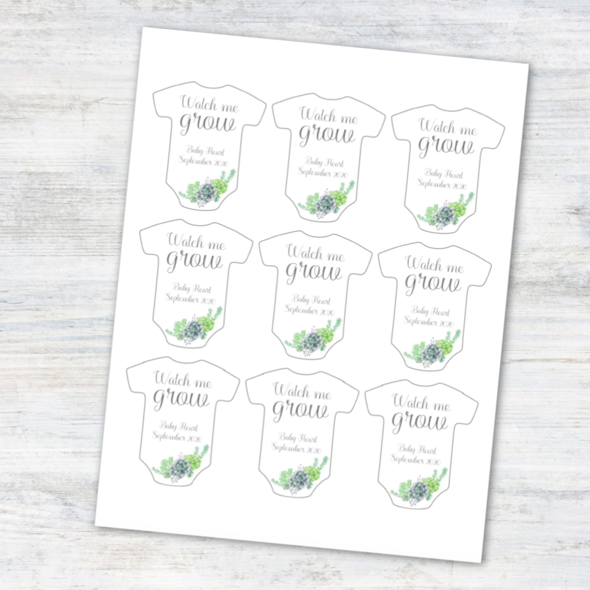 Succulent Baby Shower Favor Tags & Sign Editable Instant Download PDF ...