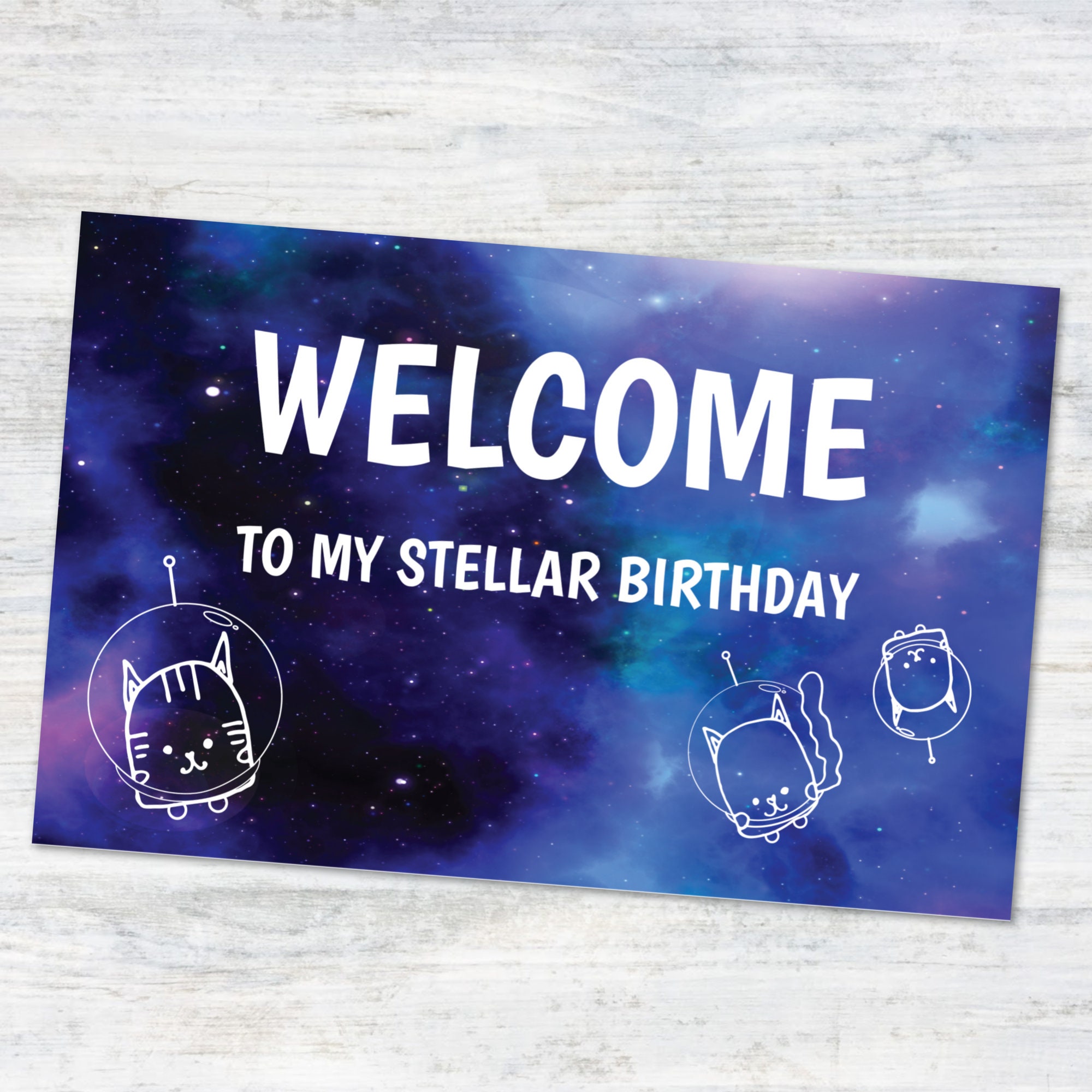 Space Cats Birthday Party Pack Instant Download PDF Cosmic - Etsy
