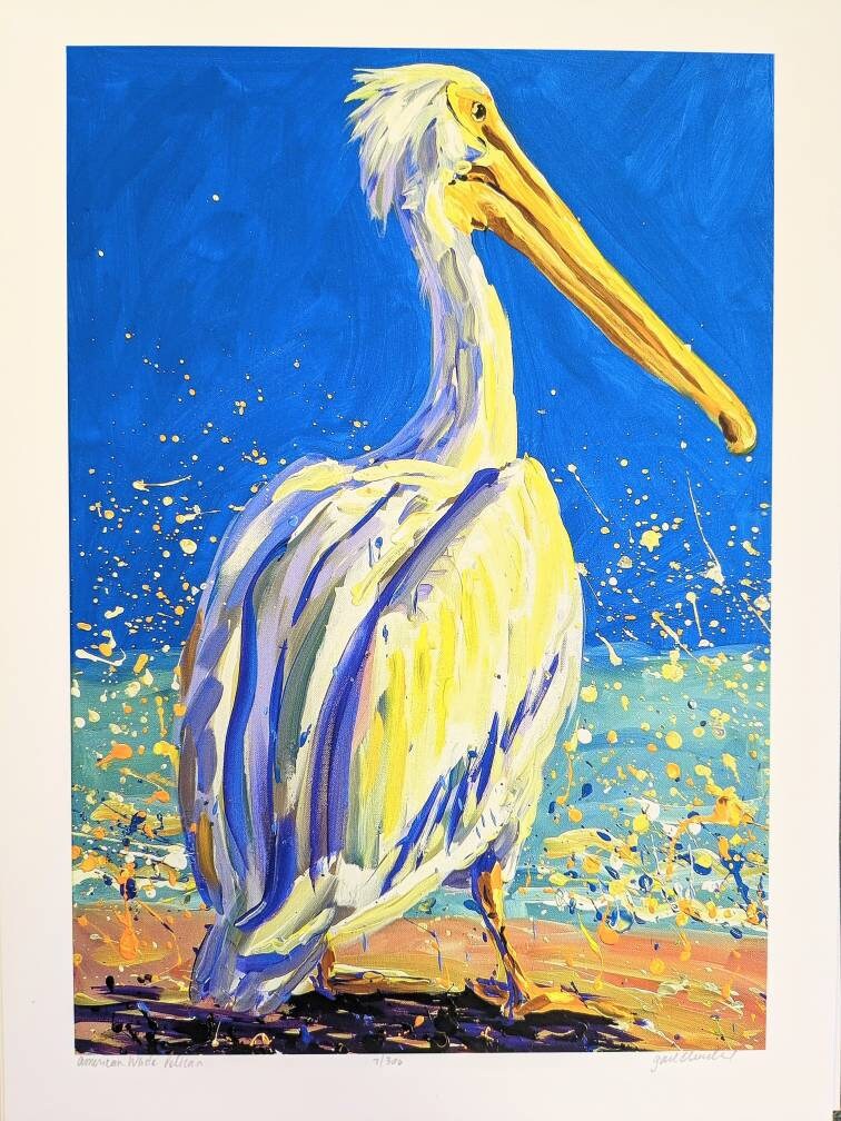 American White Pelican, 14x20 Unframed Giclee Print by Gail Cleveland ...