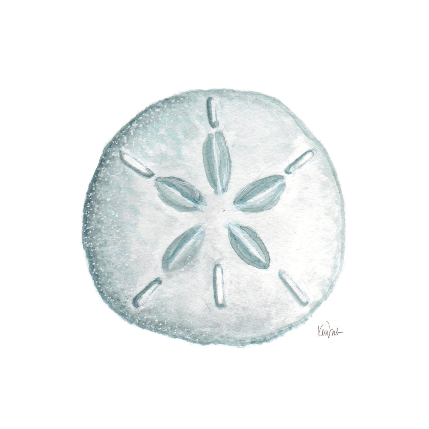 Sandollar Watercolor Illustration, Blue Sand Dollar, Ocean Organisms ...