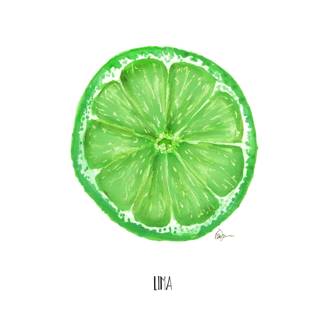 Lime Green Print, Watercolor Painting, Food Illustration, Citrus Fruits ...