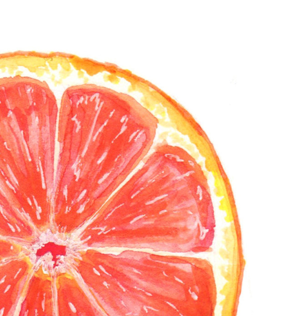 Ruby Red Grapefruit Watercolor Painting, Food Illustration, Toronja ...