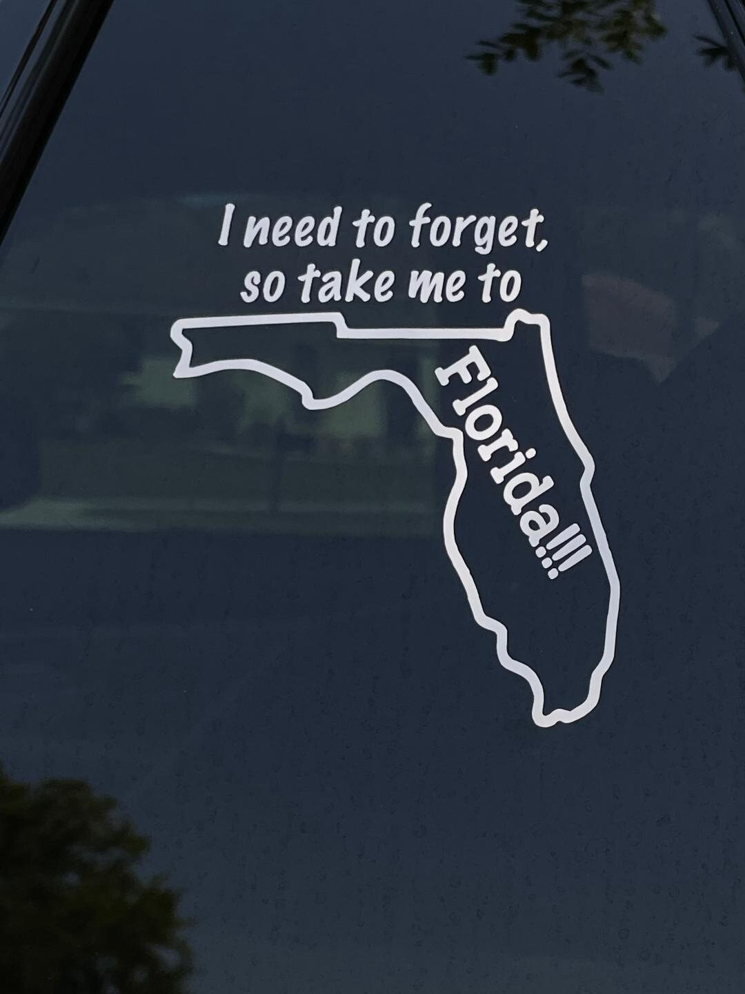 Take Me to Florida Car Decal, Florida Decal, TTPD, Florida Vinyl, the ...