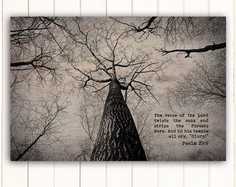 Psalm 1:1-3 Tree planted by the rivers Canvas Bible verse | Etsy