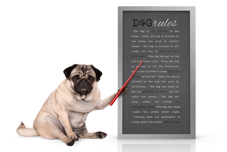 Dog Rules Sign Metal Framed Gift for Pet Dog Dog | Etsy