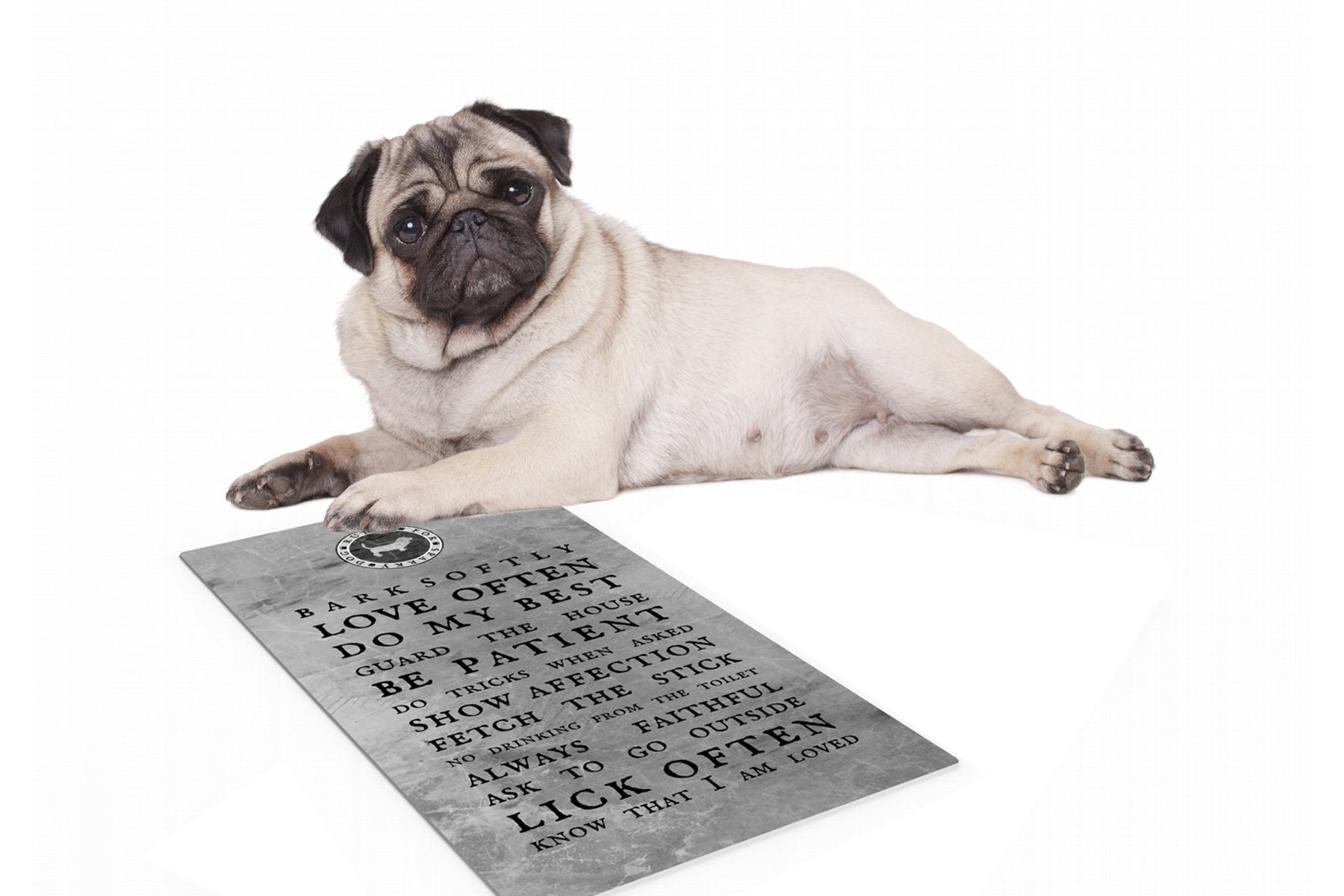 Personalized Dog Rules Metal Framed Gift For Pet Dog - Etsy