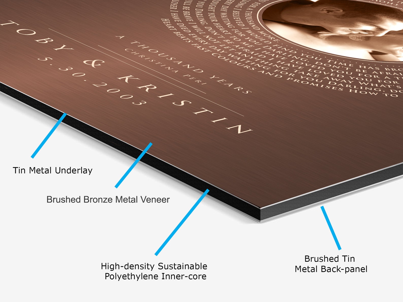 Bronze Vinyl Record Song Art Bronze Gift Bronzed Photo - Etsy