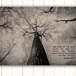 Psalm 29:9, Forest, Glory, Wood Inspired Scriptures, Canvas, Bible ...