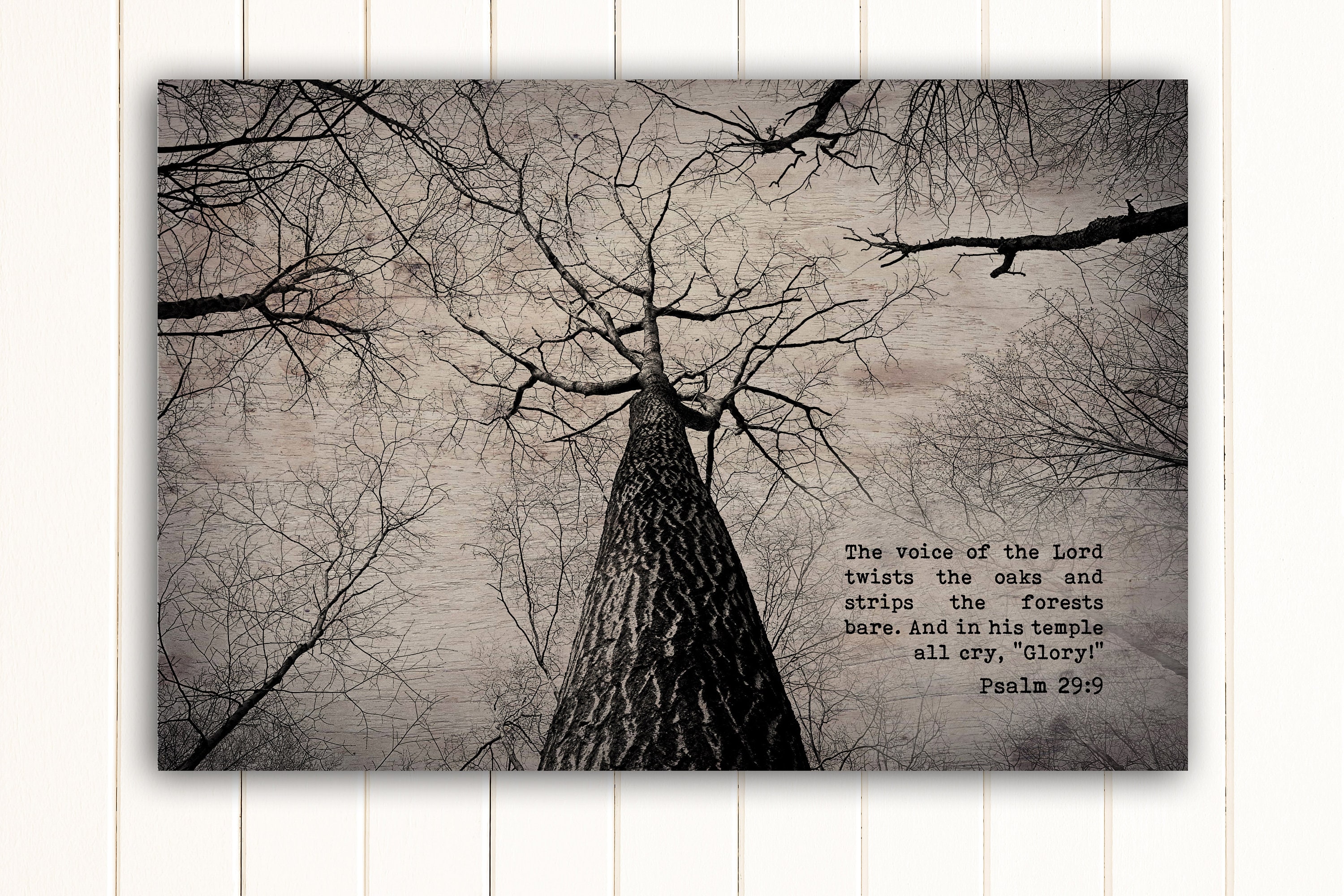 Psalm 29:9 Forest Glory Wood inspired Scriptures Canvas | Etsy