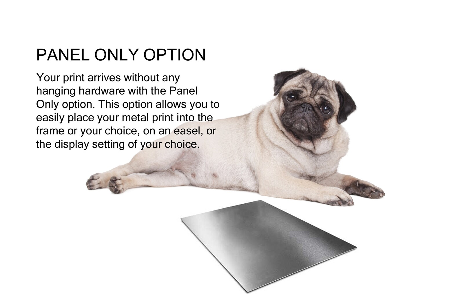 Dog Rules Sign Metal Framed Gift for Pet Dog Dog | Etsy