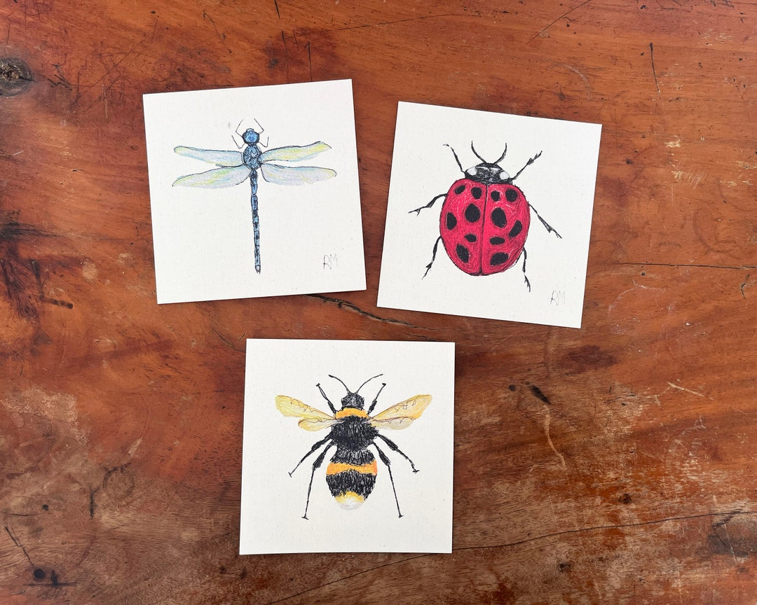 Insect Pack of Cards - Embroidered Cards - Bee - Dragonfly - Ladybird ...