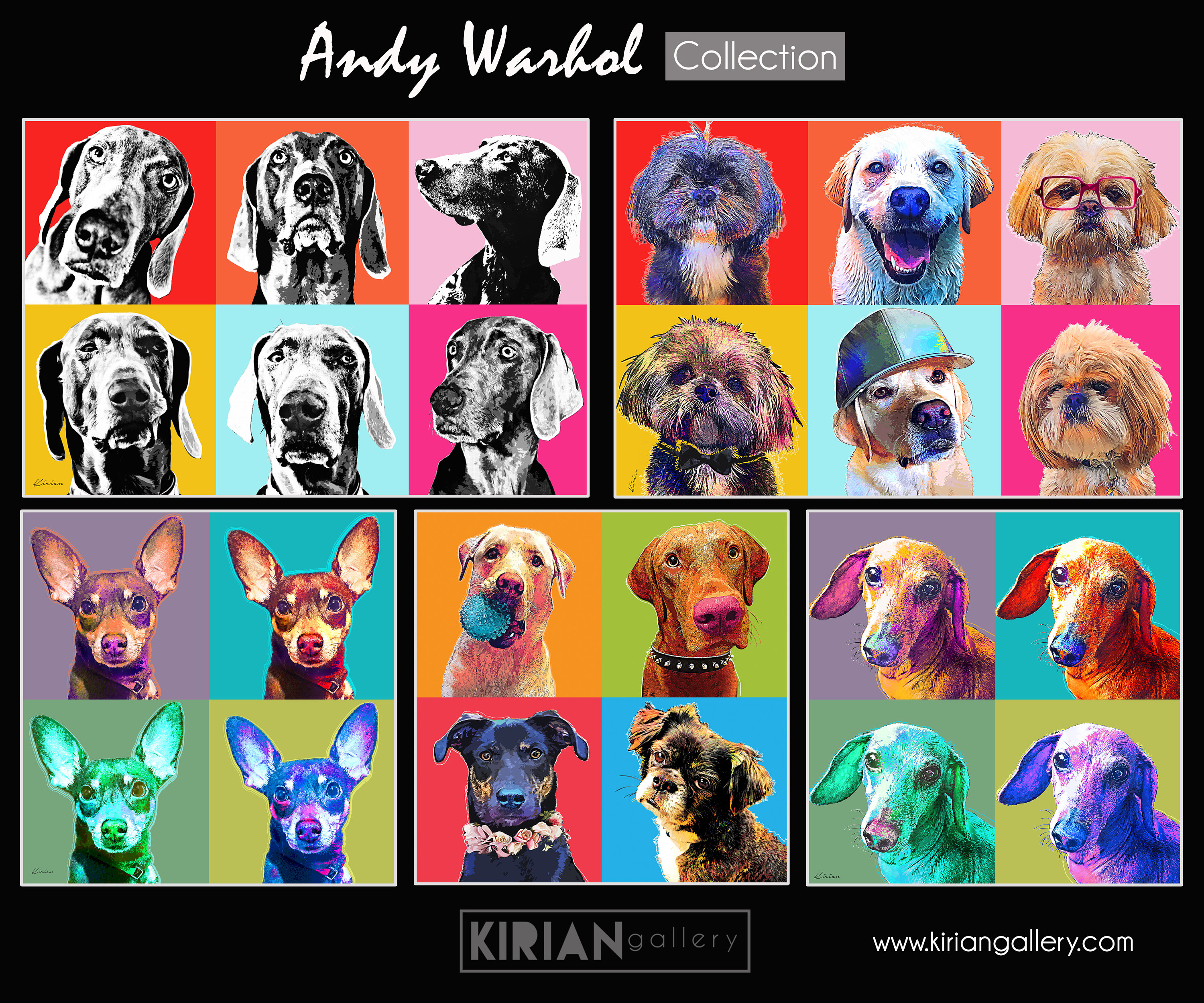Custom POP Art Pet Portrait, Pop Art Pet, Andy Warhol, Pet Portrait ...