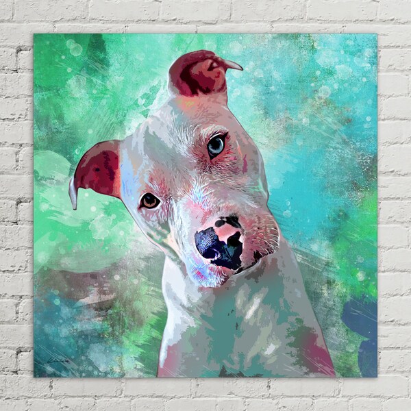 Abstract Pet Portrait - Etsy