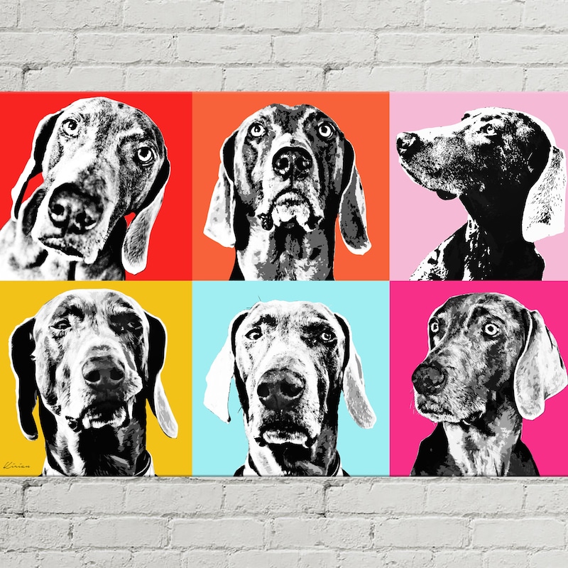 Pop Art Pet Portrait - Etsy