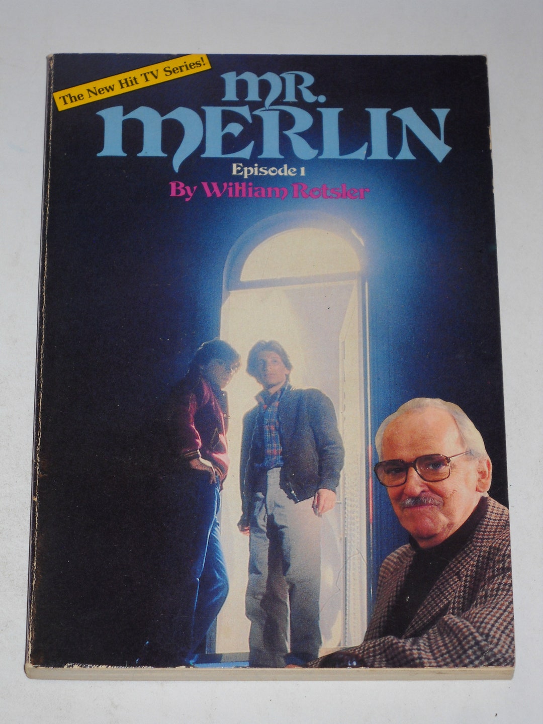 1981 Mr. Merlin Books Your Choice William Rotsler Clark Brandon, Elaine ...