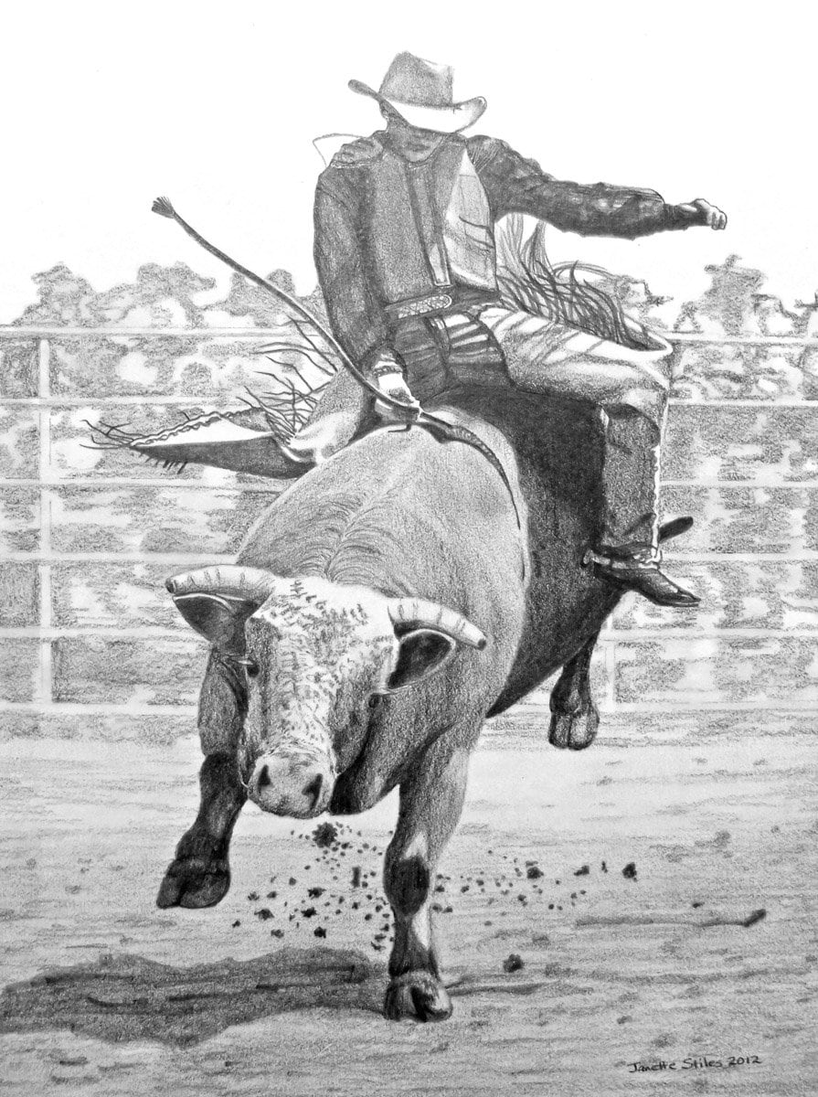 Bull Riding Pencil Drawings