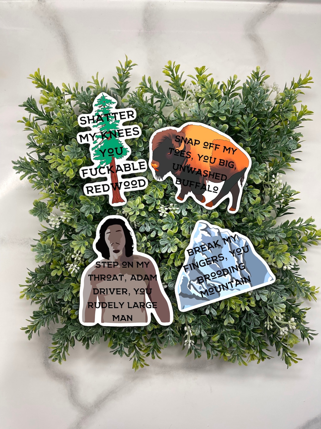 Adam Driver and John Oliver Sticker Pack Glossy Vinyl Sticker Adam ...