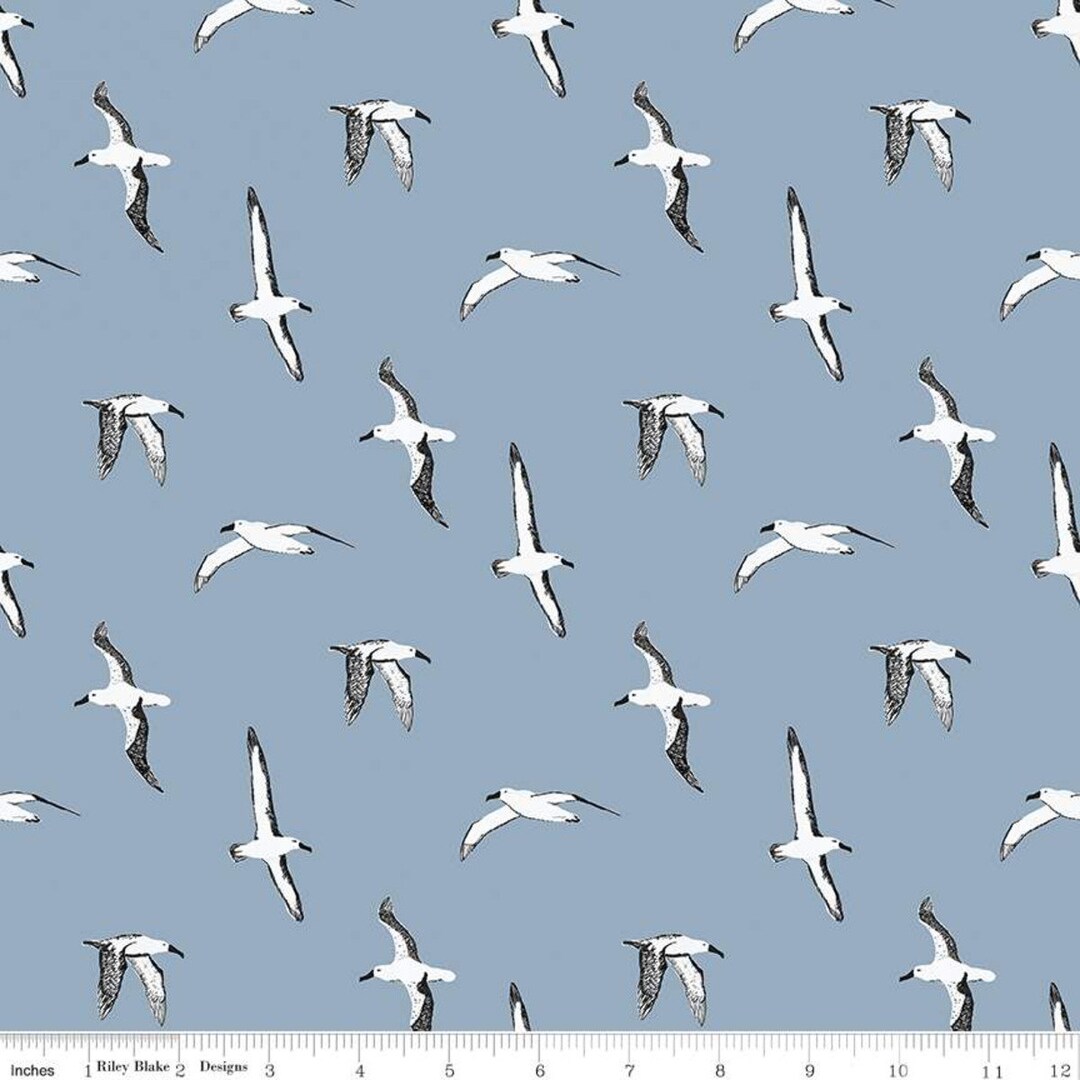 SALE Heartsong Albatross C11302 Blue - Riley Blake Designs - Bird Birds ...