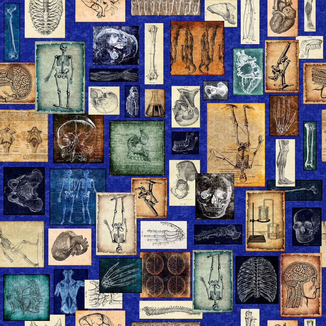 True Detective Anatomy Patches Royal Blue Bones Fabric 30717 - QT ...