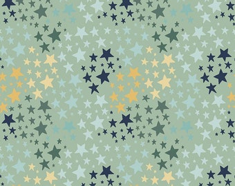 FLANNEL Safari Stargazing Girl Stars F15314 Multi - Riley Blake Designs ...