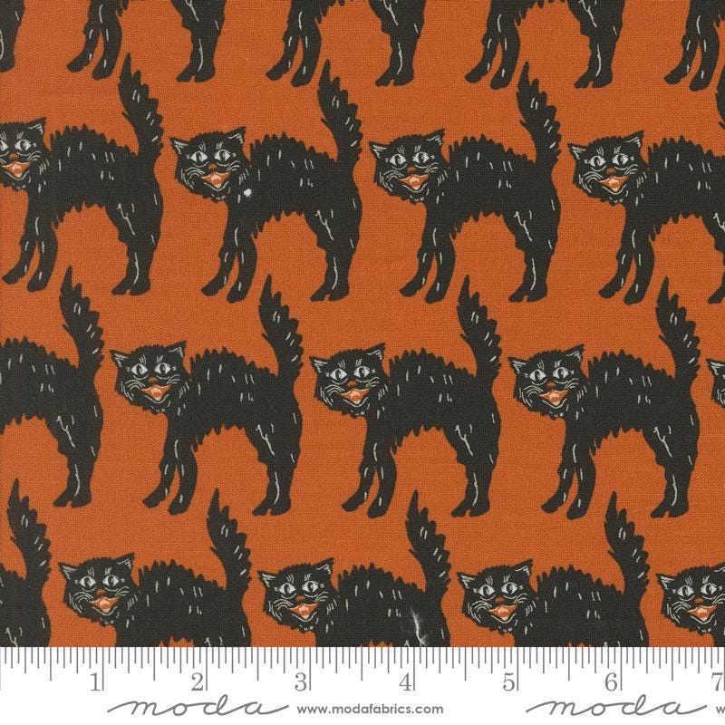 Little Orange Kitty - Etsy