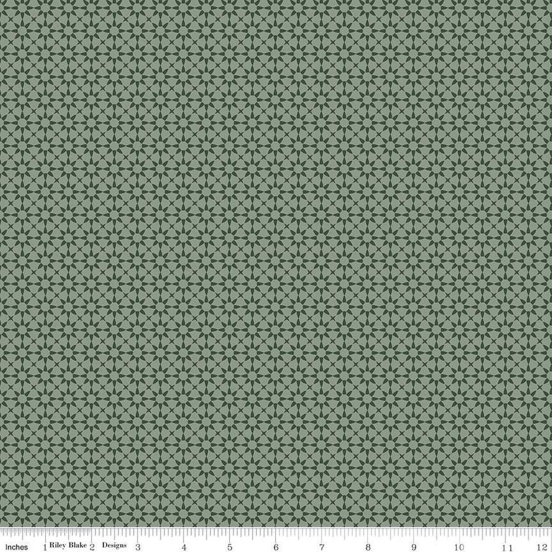 Gingham Fields Starbursts C13354 Forest - Riley Blake Designs ...