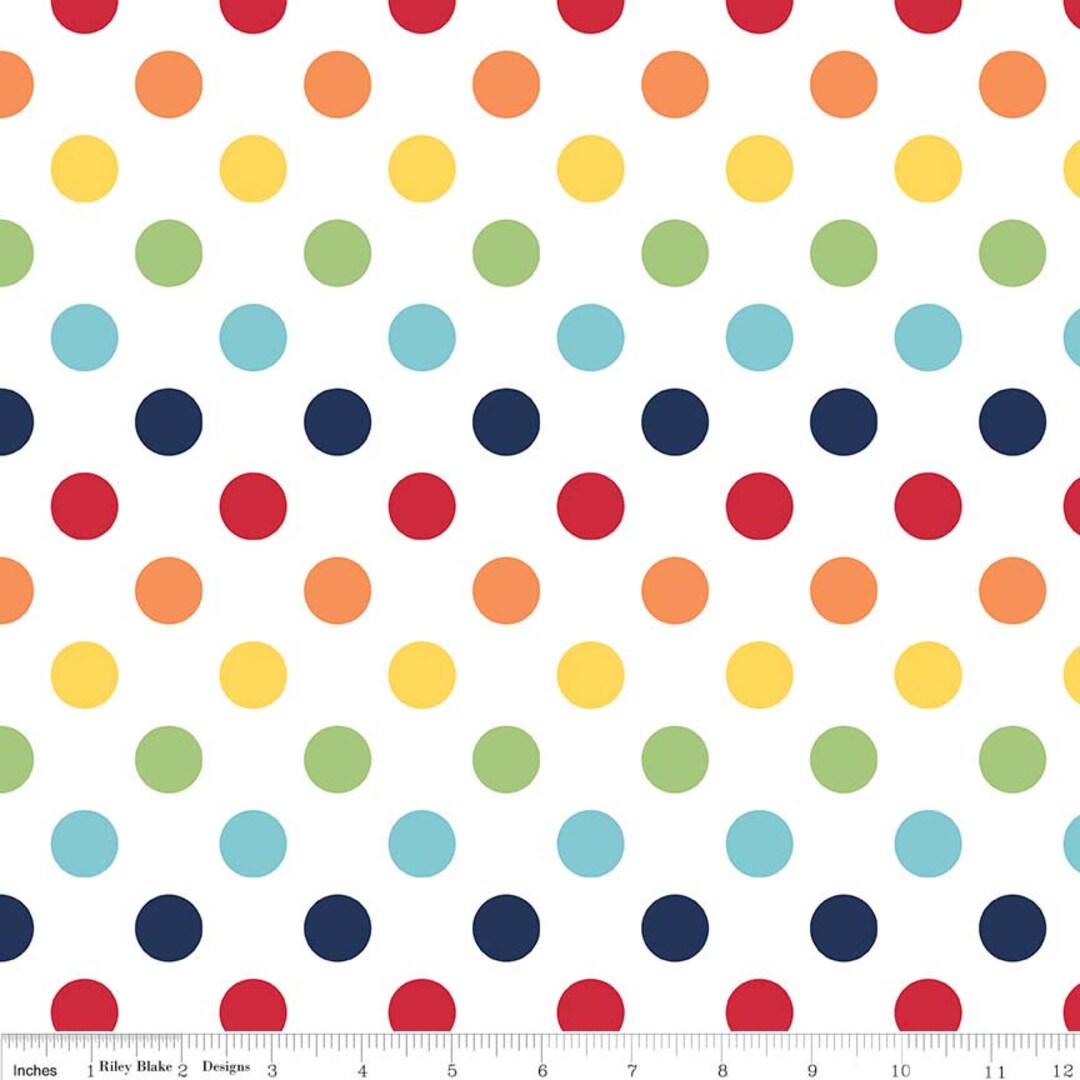 SALE Rainbow on White Medium Dots 3/4 by Riley Blake - Etsy