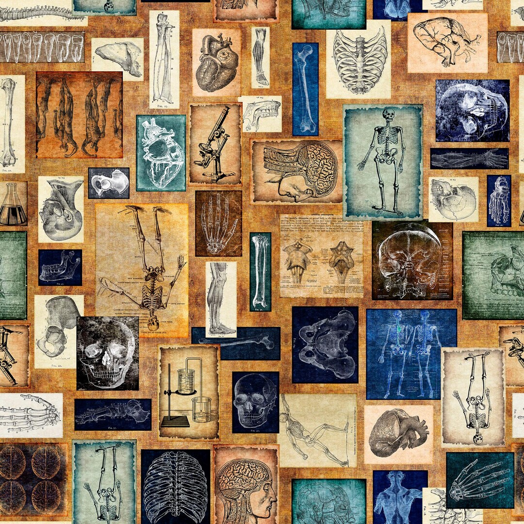 Fat Quarter End of Bolt - True Detective Anatomy Patches 30717 Copper A ...