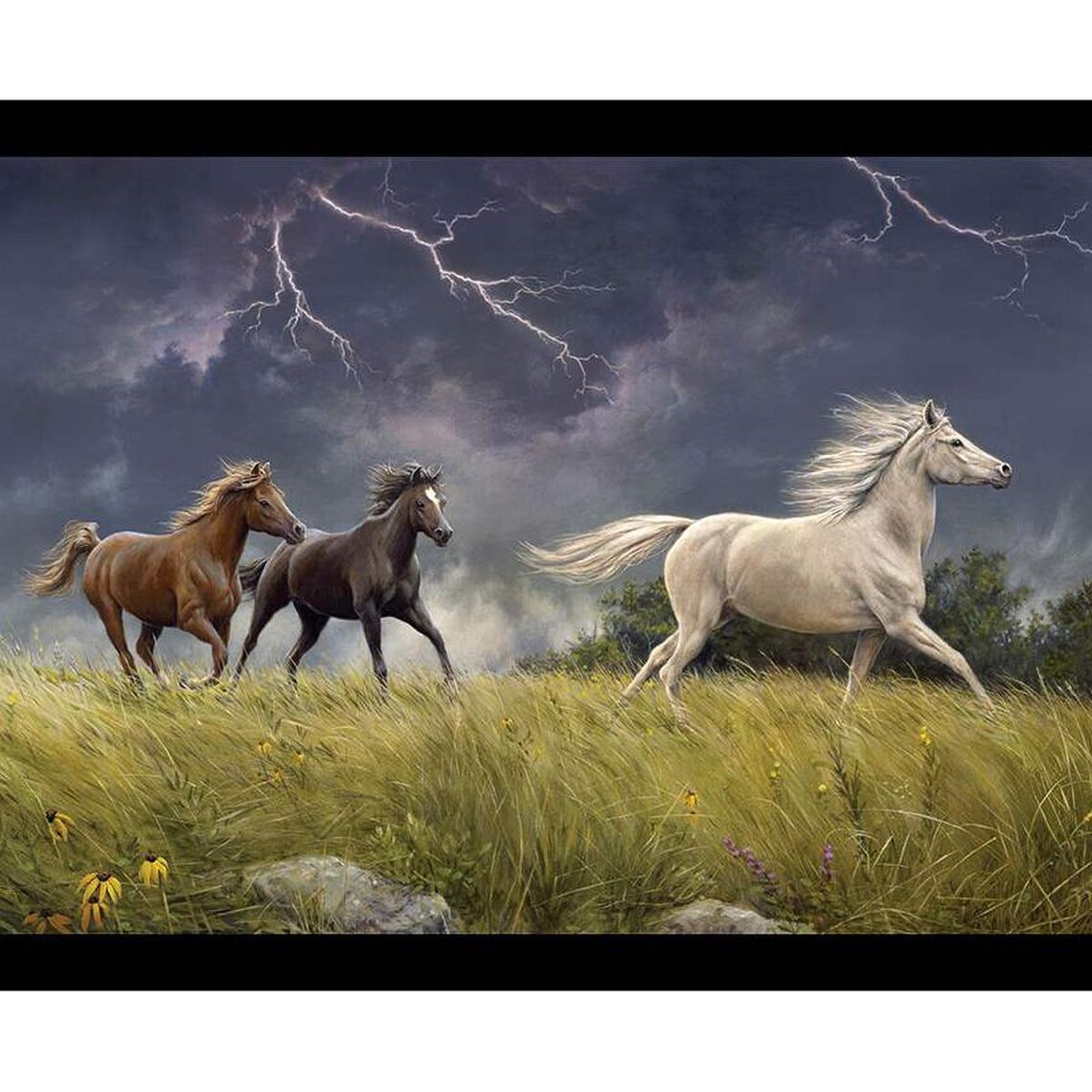 SALE Wild Horses Storm on the Prairie Panel PD15534 - Riley Blake ...