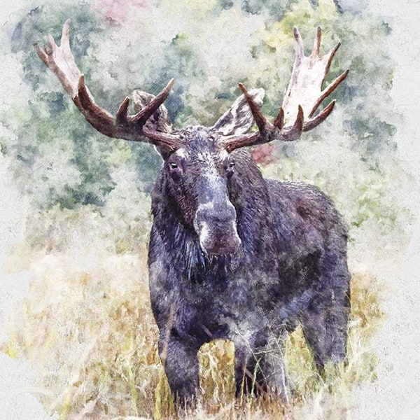 Moose Panels Fabric - Etsy