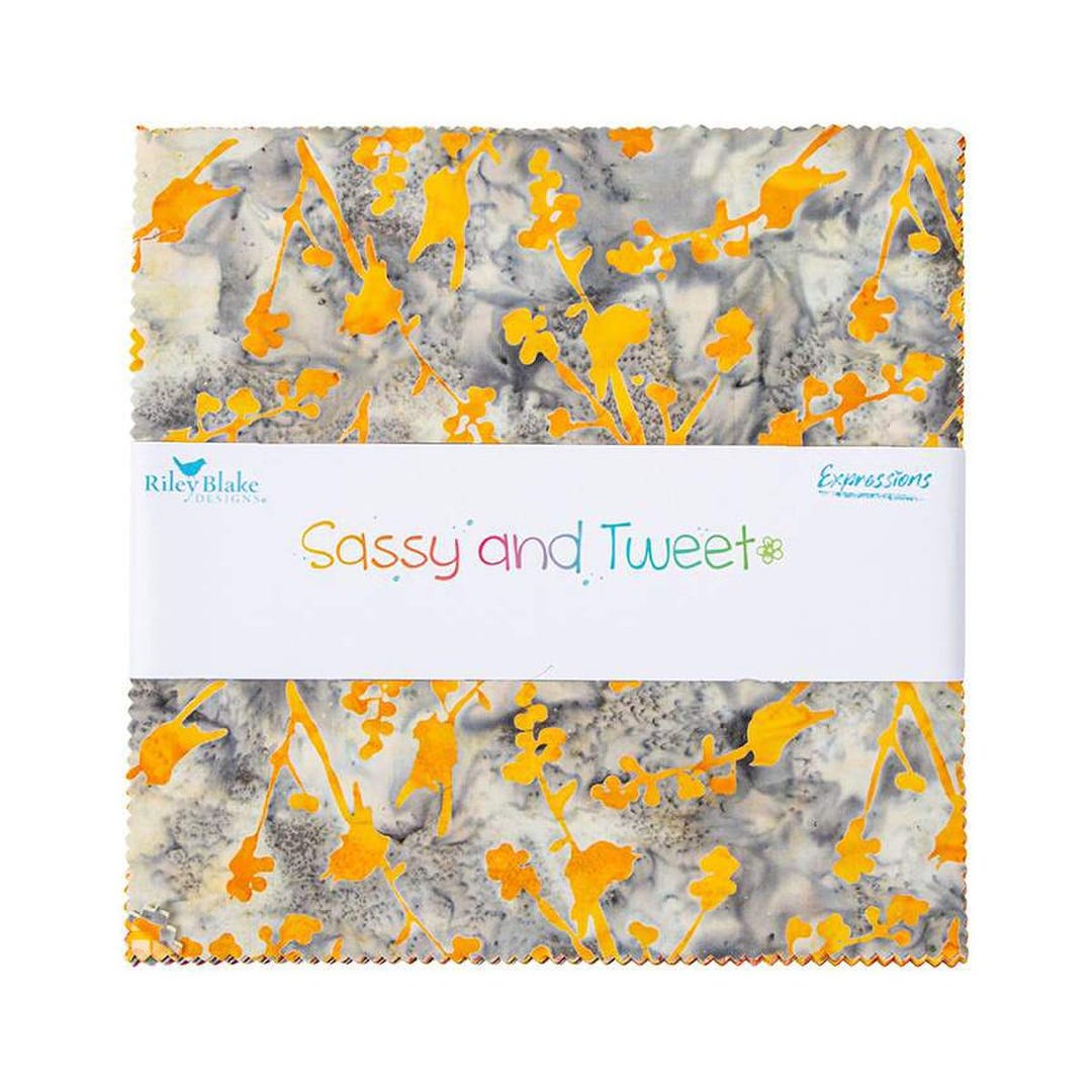 SALE Batiks Expressions Sassy & Tweet Layer Cake 10" Stacker Bundle ...