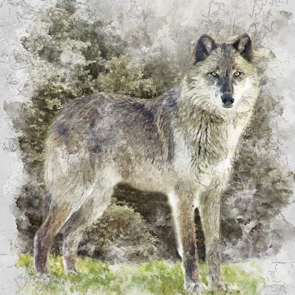 Wolf Fabric Panel - Etsy