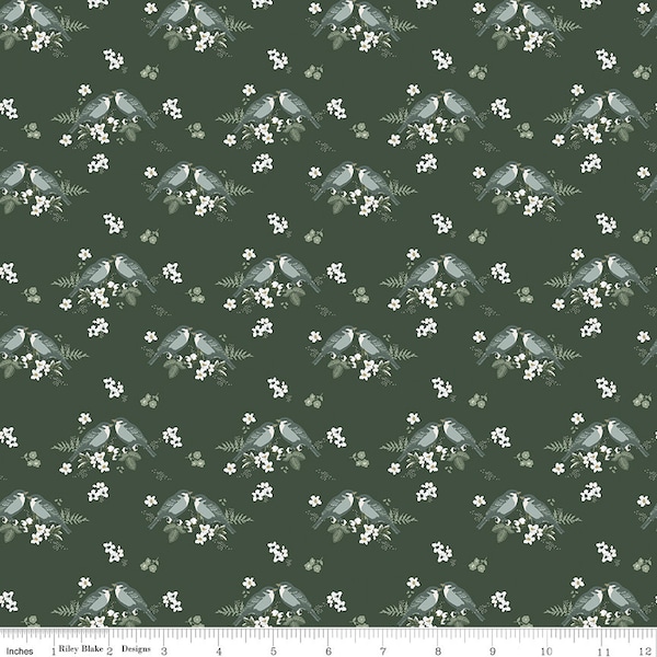Riley Blake Gingham Fields Fabric - Etsy