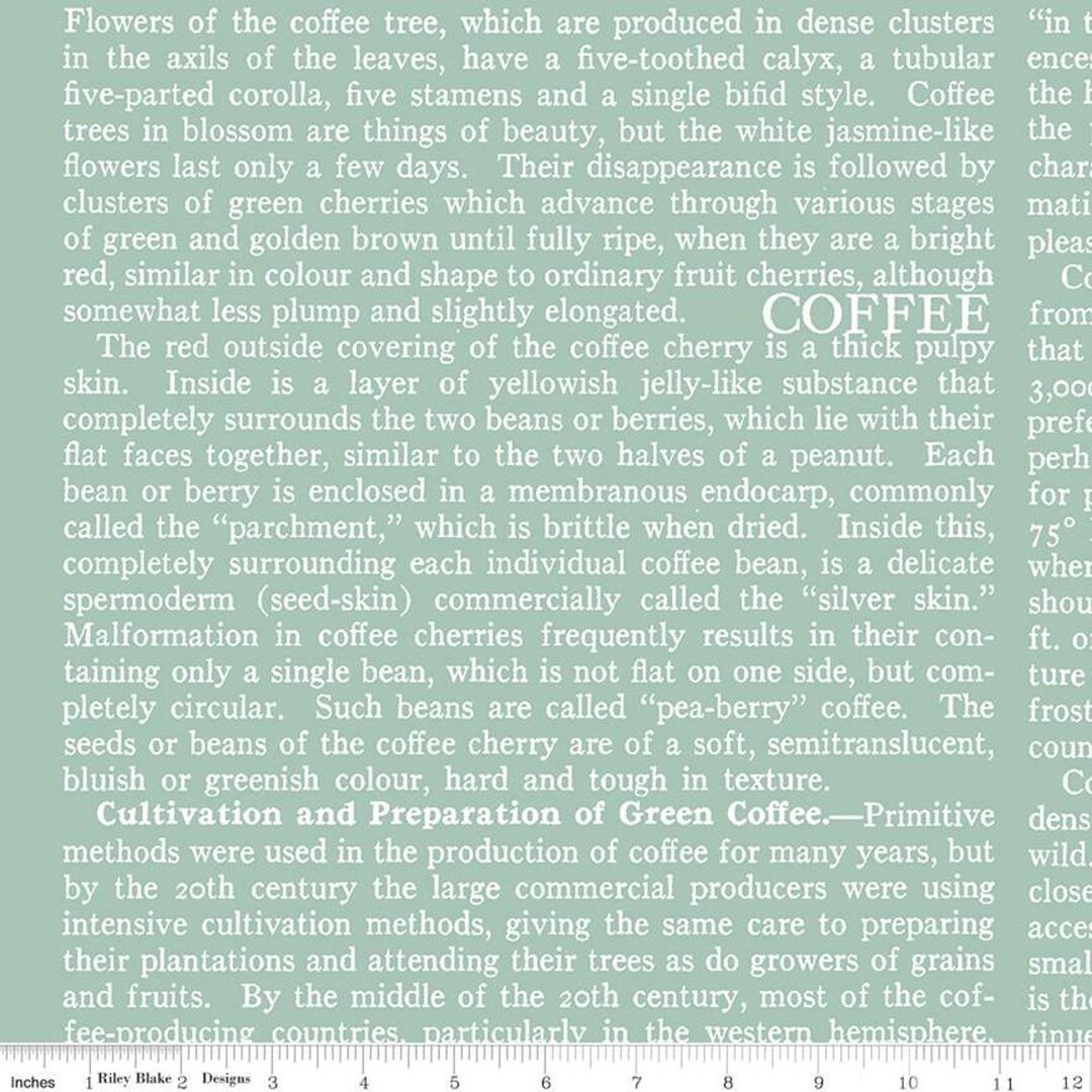 28" End of Bolt - CLEARANCE Coffee Chalk Text C11039 Aqua - Riley Blake ...
