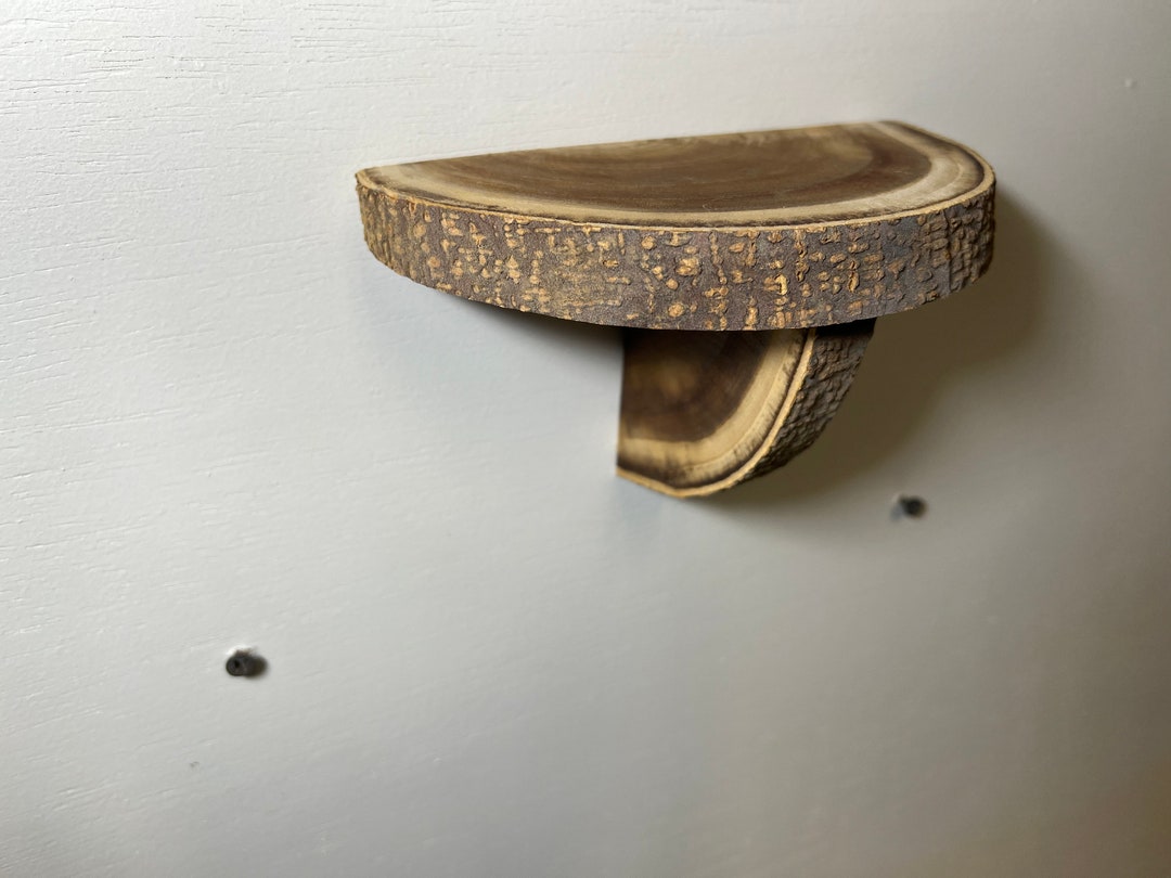 Small Half-round Live-edge Magnolia Shelves - Etsy