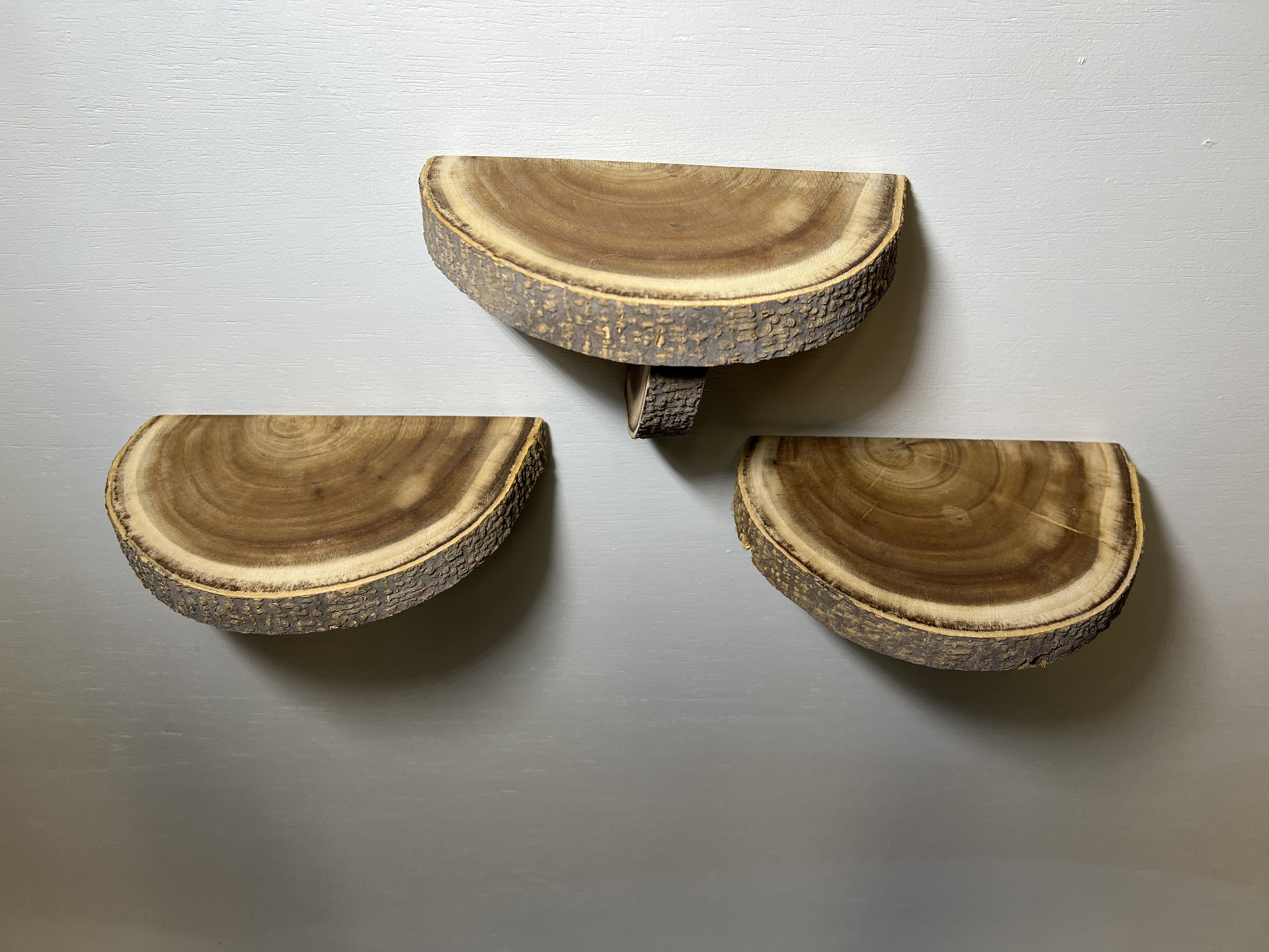 Small Half-round Live-edge Magnolia Shelves - Etsy