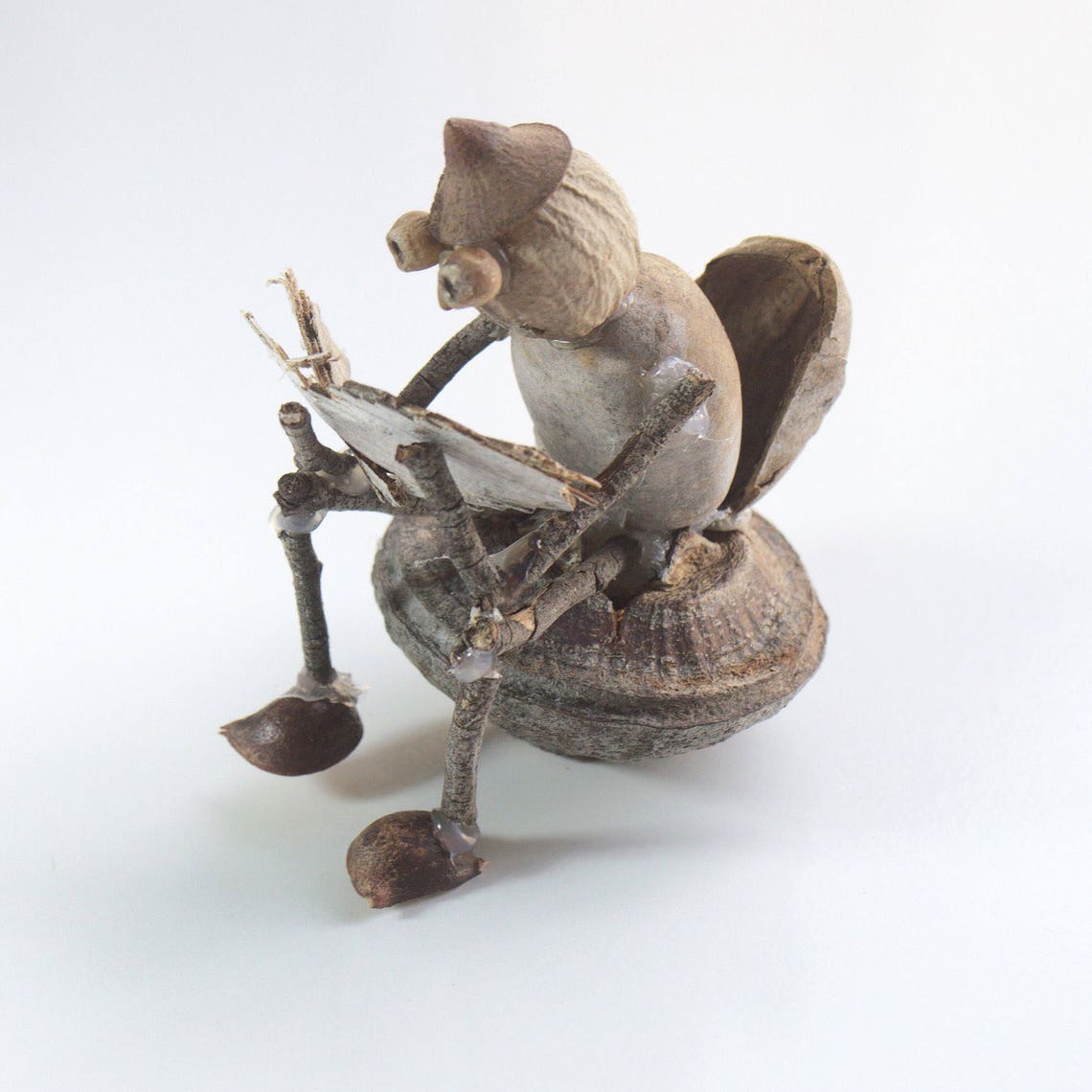 Nature Craft Pack Native Australian Seed Pods | Etsy Australia