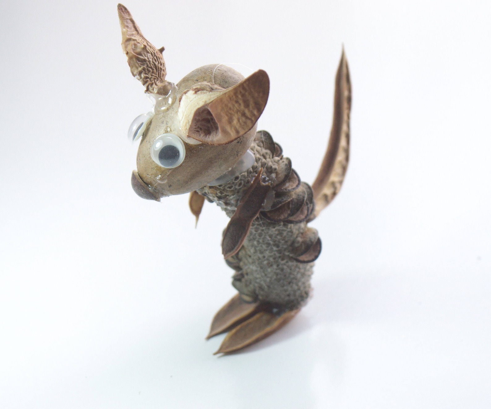 Nature Craft Pack Native Australian Seed Pods | Etsy Australia